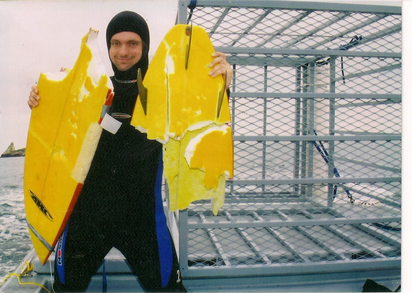 Interview With Atlantic White Shark Conservancy Founder Cynthia Wigren ...